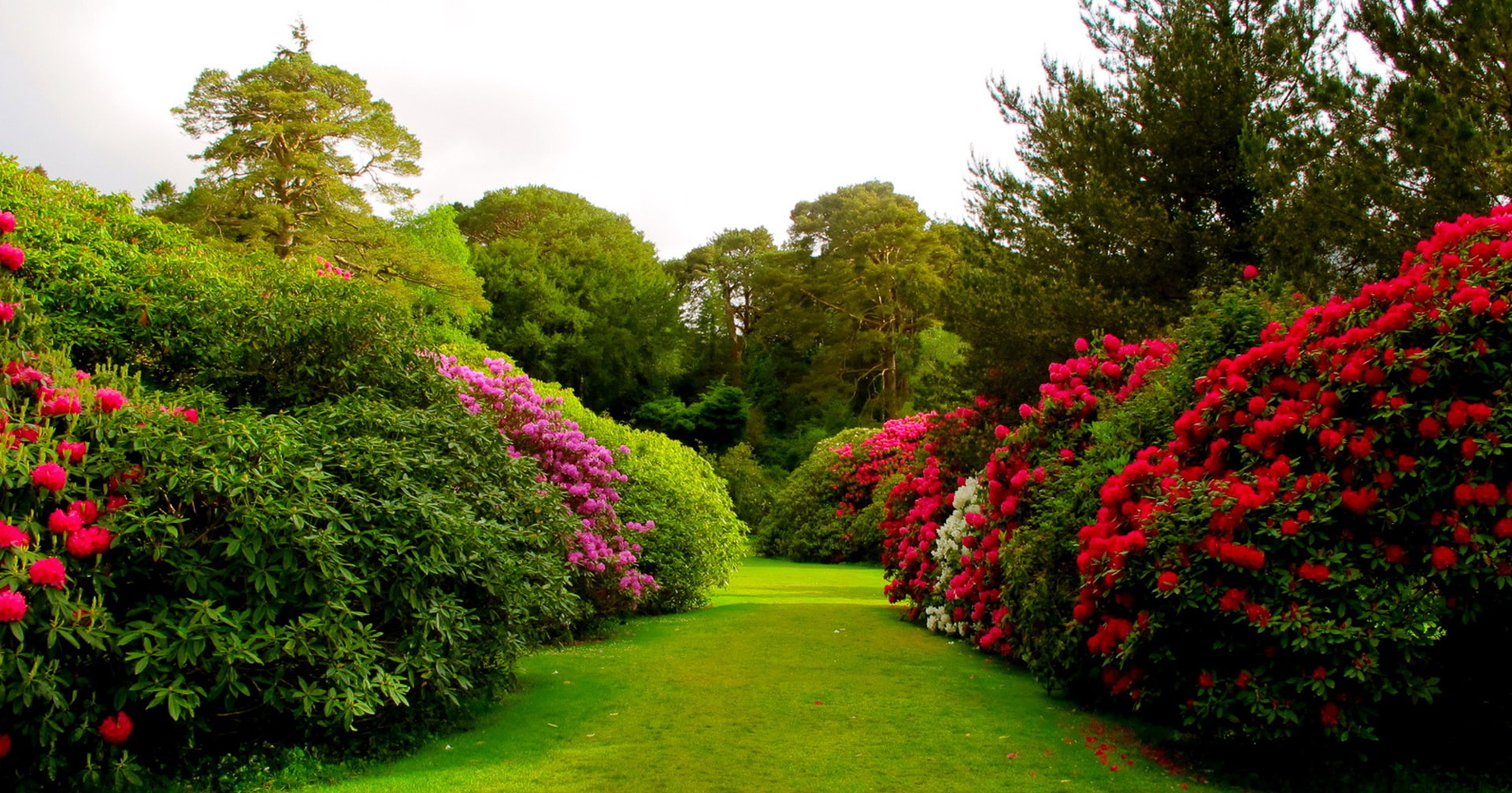 Paisajismo y Zonas Verdes • Empradizacion - Jardines, Taludes, Prados ...